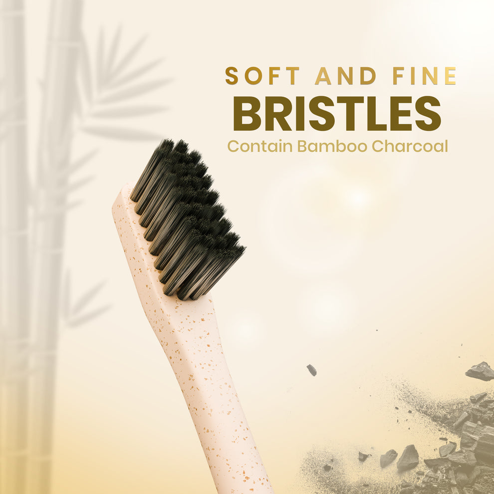 Wheat Straw Corn Starch Toothbrush (Pack of 3) – Vernam Iconic